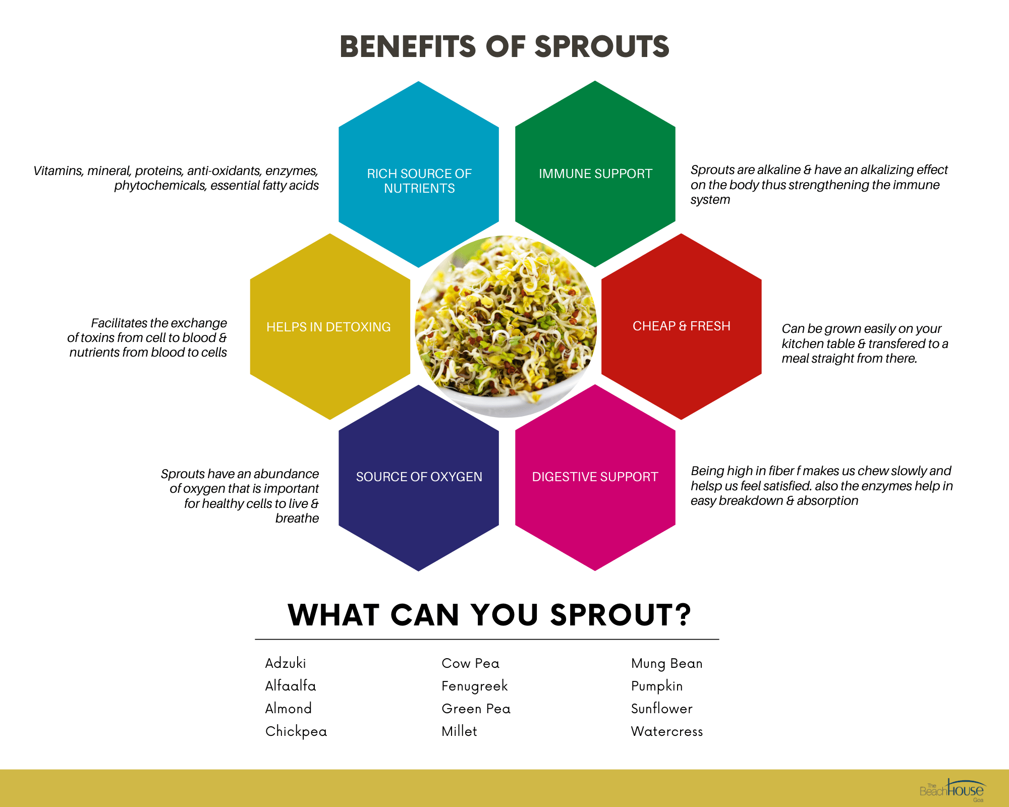Sprouts: The ultimate live food - The Beach House Goa - Wellness and ...