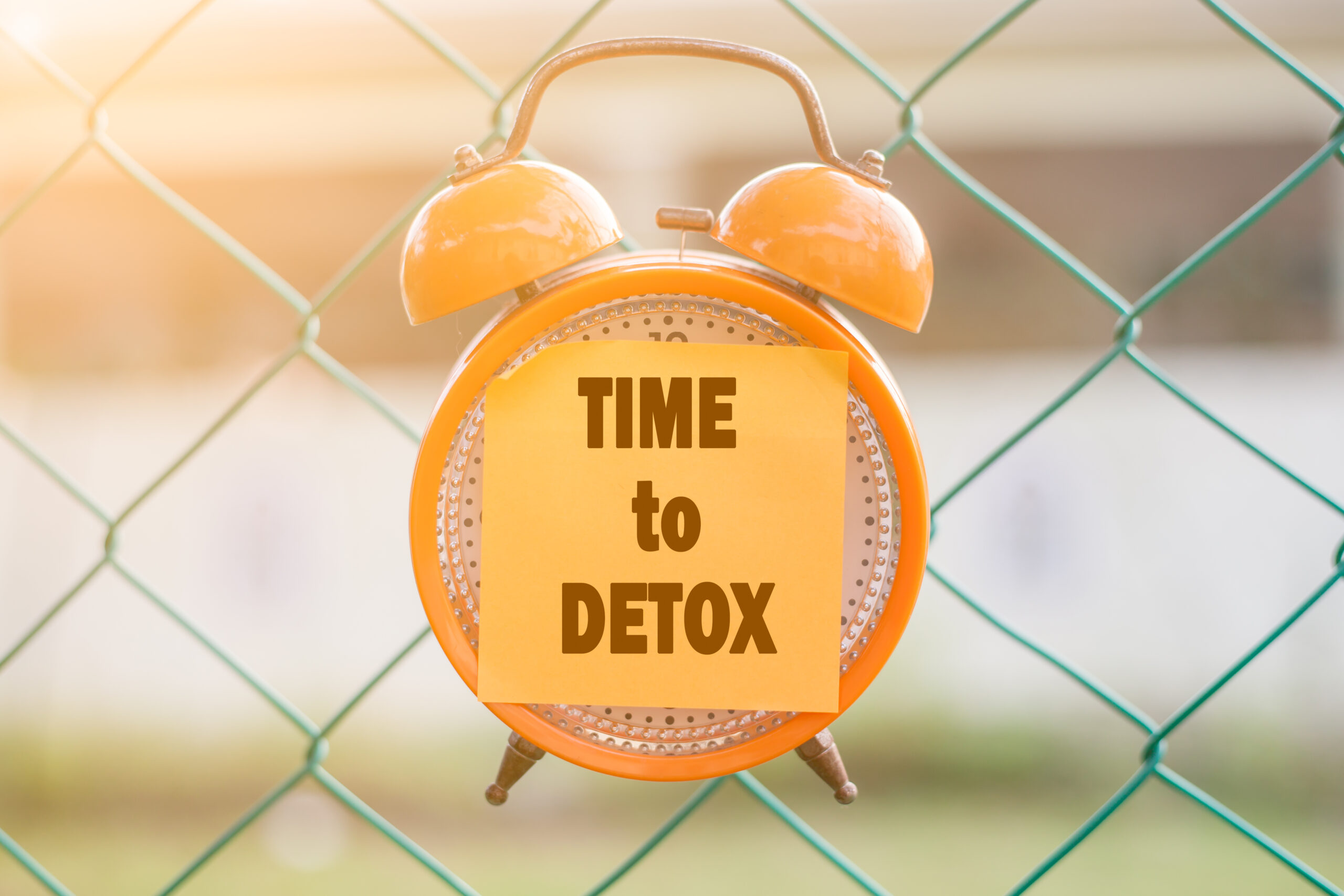Signs your body is screaming for a detox - The Beach House Goa ...